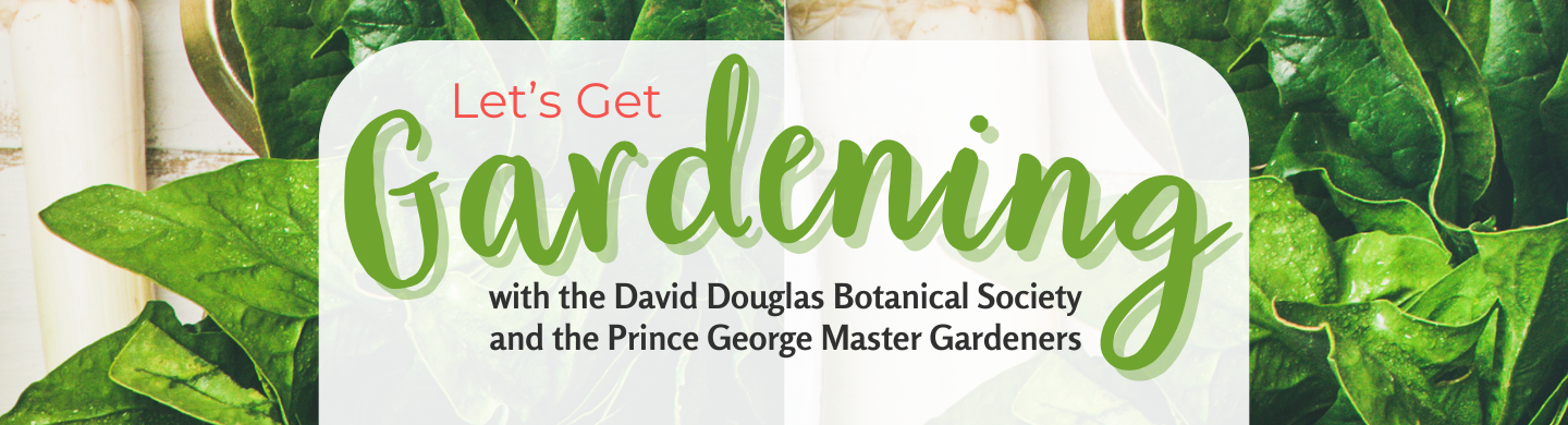 Prince George Public Library